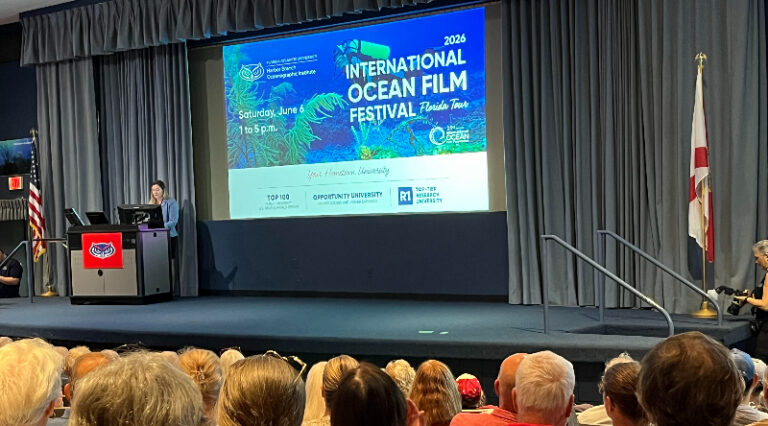 Happy World Ocean Day! - CleanTechnica